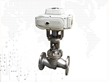 GG25 Globe Valve